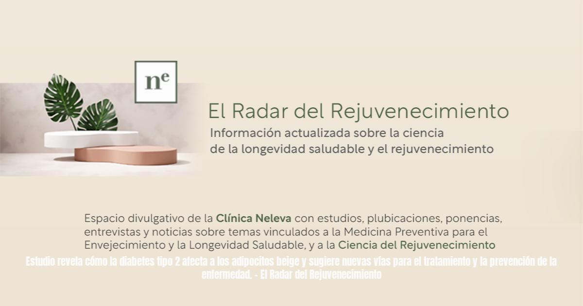 Estudio revela cómo la diabetes tipo 2 afecta a los adipocitos beige y ...